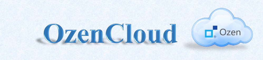 Ozen Engineering - The ANSYS Experts